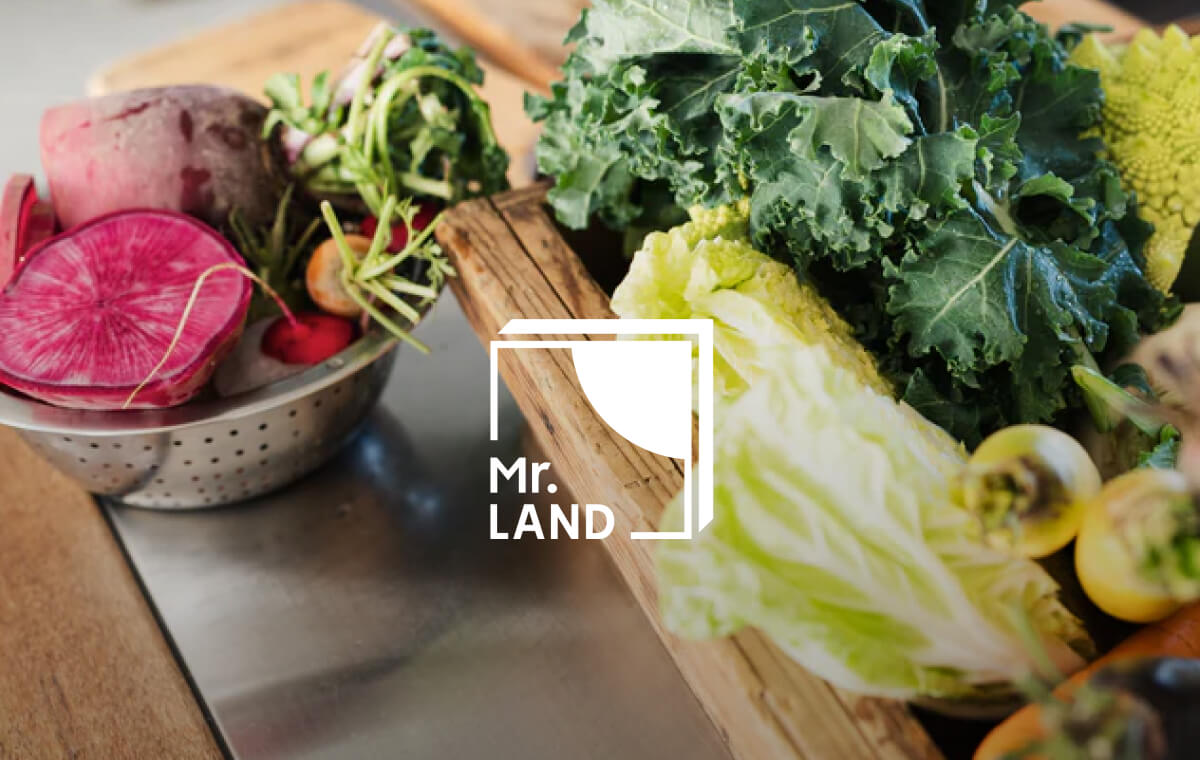 GONNA DAYS | New Ventures by Mr. LAND